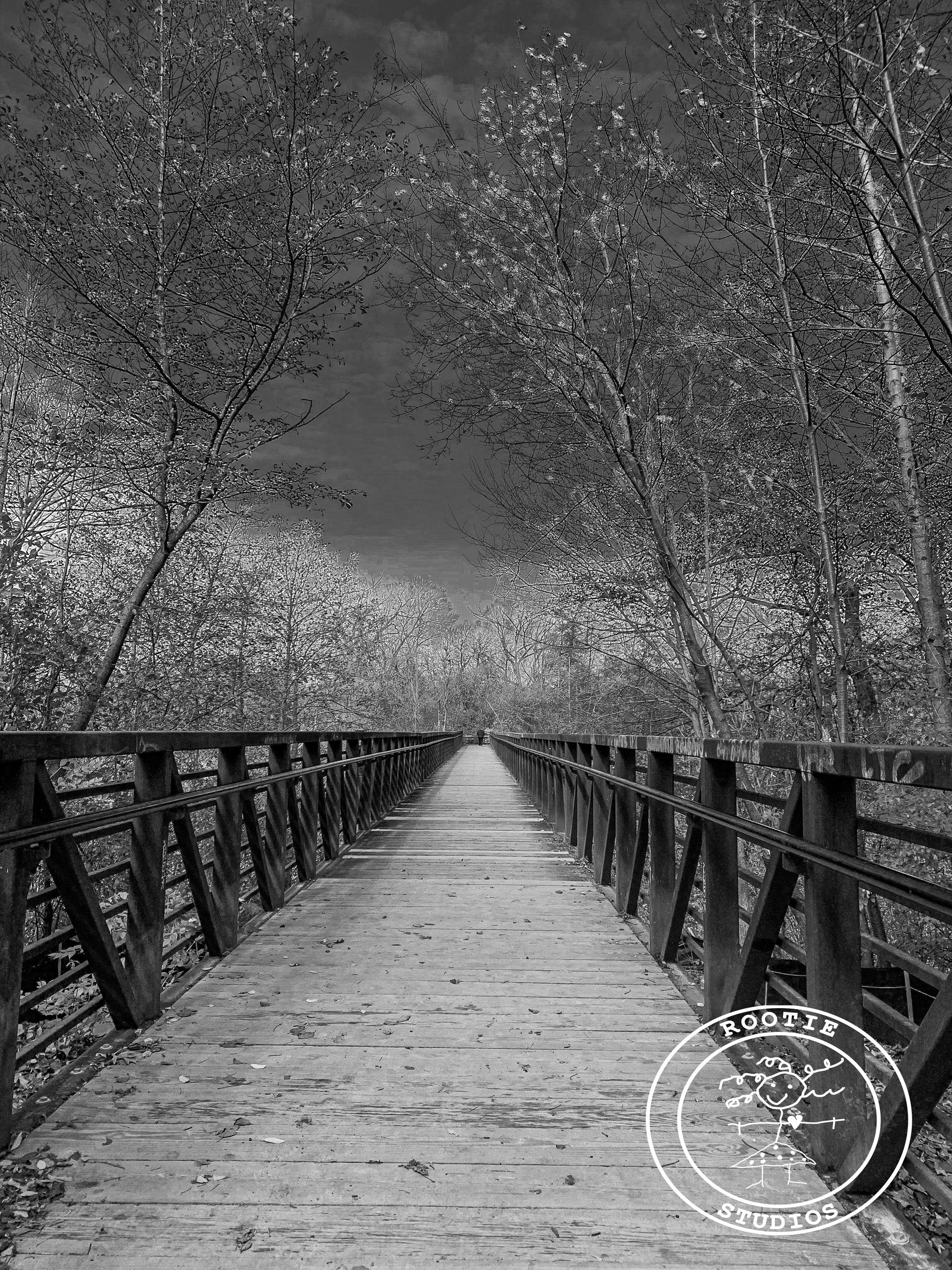 Premium Note Card Bridge Over Troubled Waters – rootiestudios